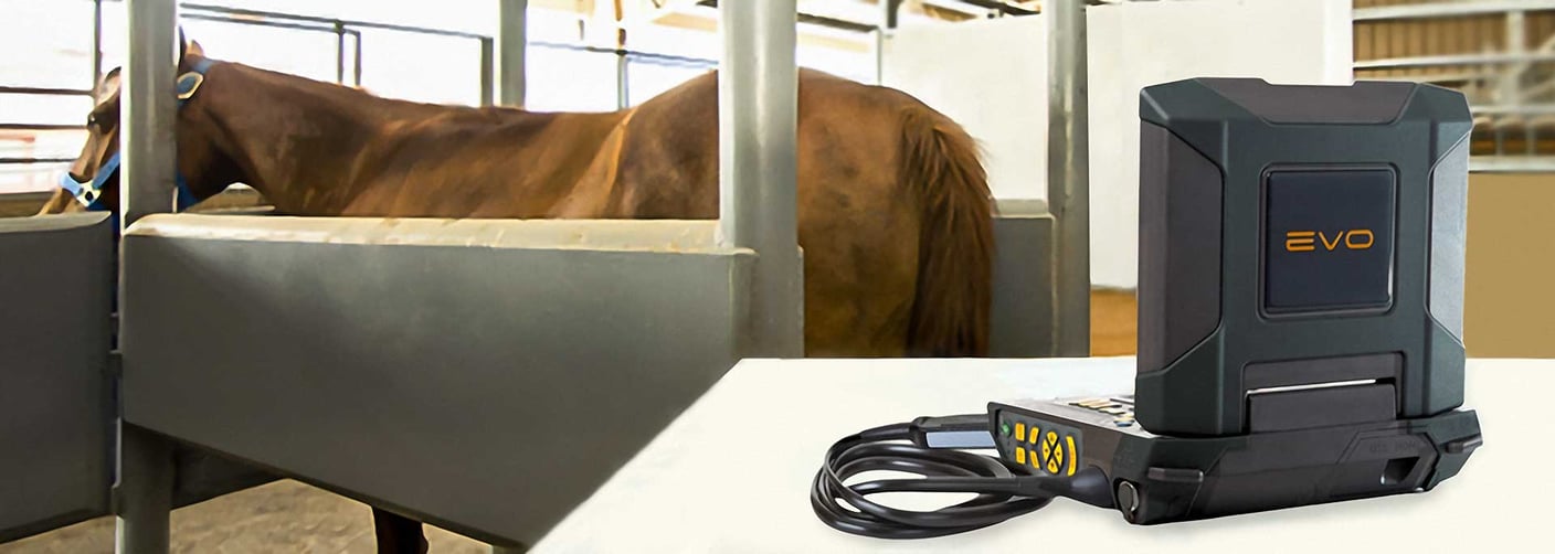 Veterinary Ultrasound | IBEX EVO